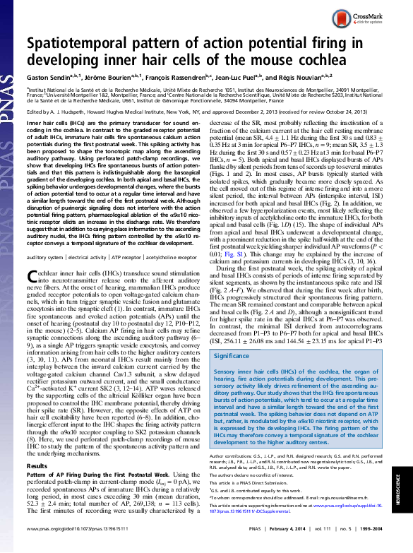 (PDF) Spatiotemporal pattern of action potential firing in developing ...