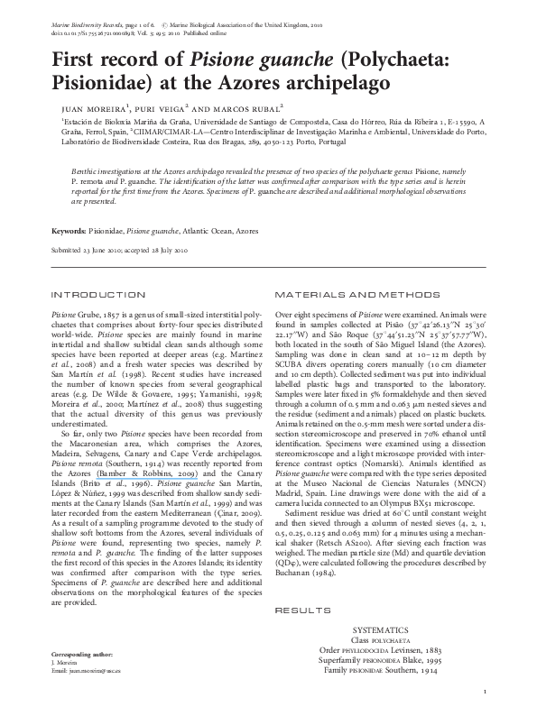 (PDF) First record of Pisione guanche (Polychaeta: Pisionidae) at the ...