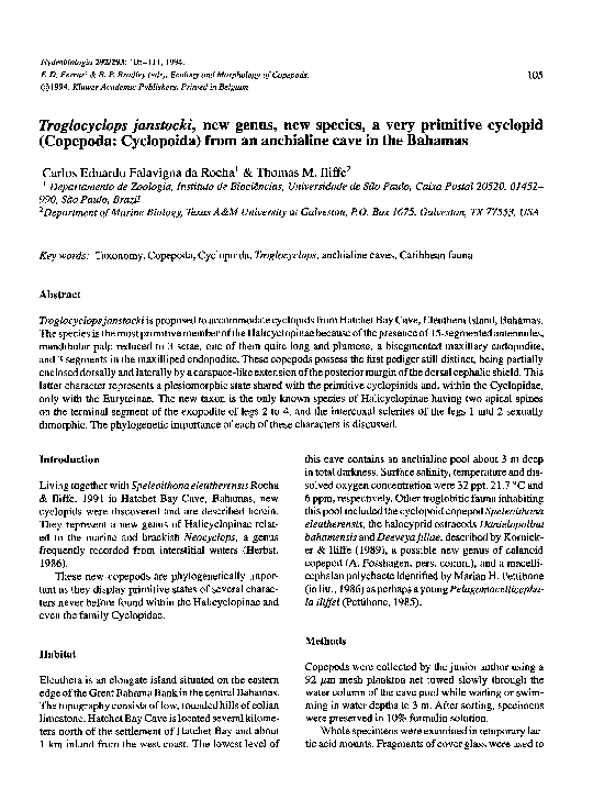 (PDF) Troglocyclops janstocki, new genus, new species, a very primitive ...