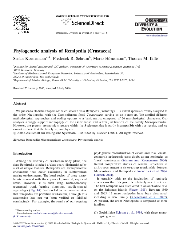 (PDF) Phylogenetic analysis of Remipedia (Crustacea)