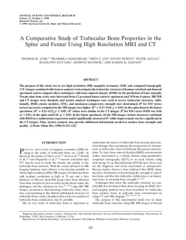 (PDF) A Comparative Study of Trabecular Bone Properties in the Spine ...