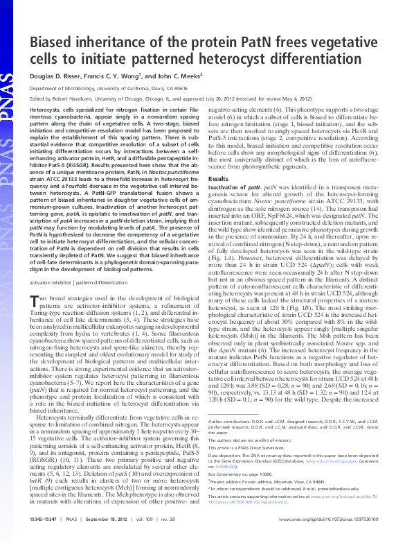 (PDF) Biased inheritance of the protein PatN frees vegetative cells to ...