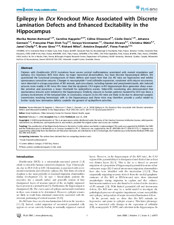 (PDF) Epilepsy in Dcx Knockout Mice Associated with Discrete Lamination ...