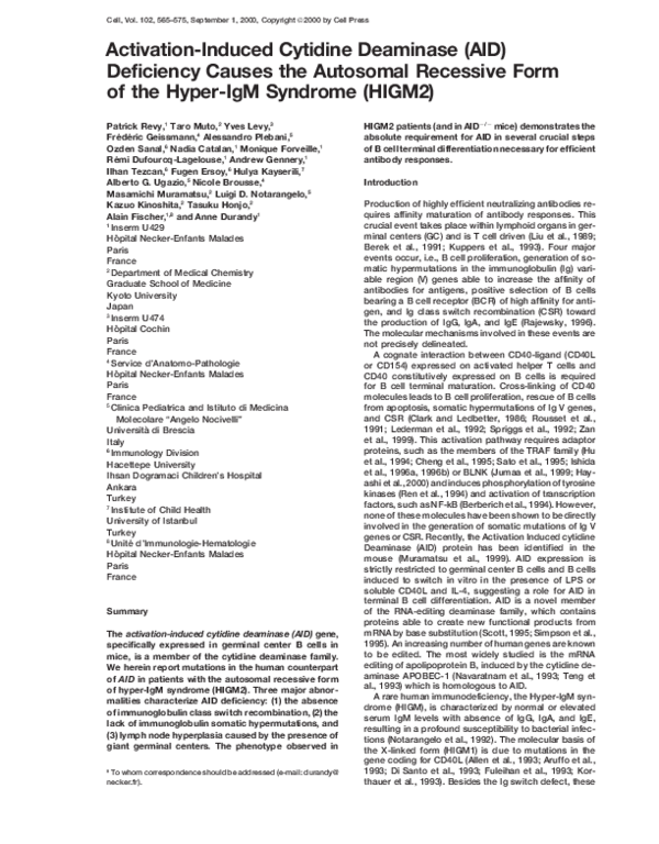 (PDF) Activation-Induced Cytidine Deaminase (AID) Deficiency Causes the ...