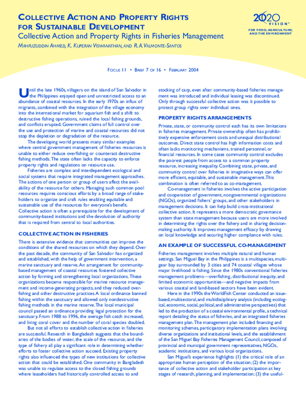 (PDF) Collective action and property rights for sustainable development