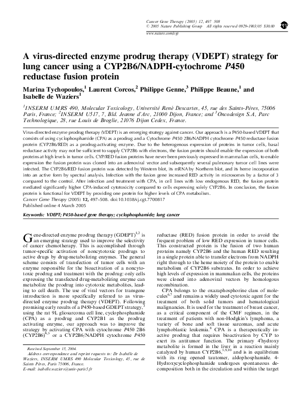 (PDF) A virus-directed enzyme prodrug therapy (VDEPT) strategy for lung ...