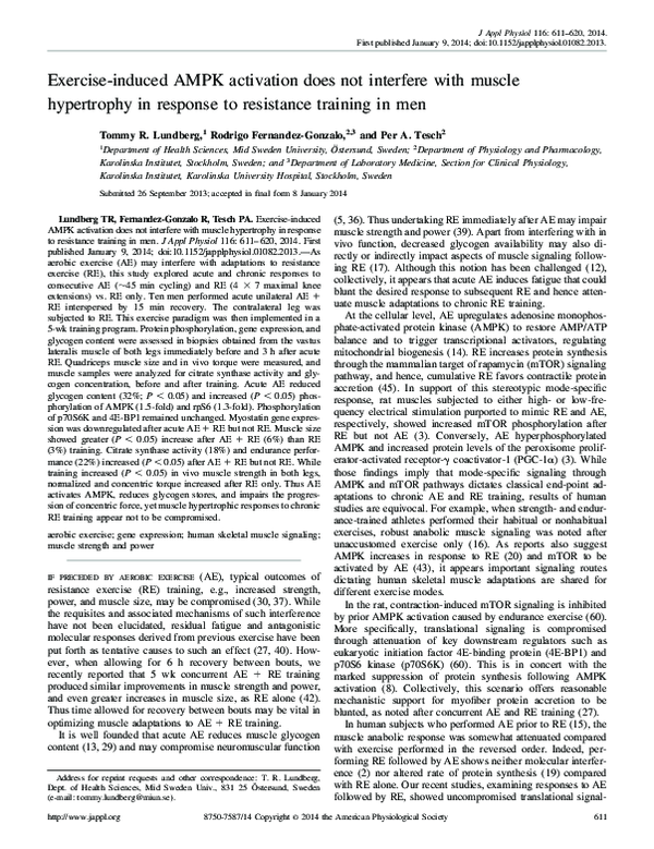 (PDF) Exercise-induced AMPK activation does not interfere with muscle ...