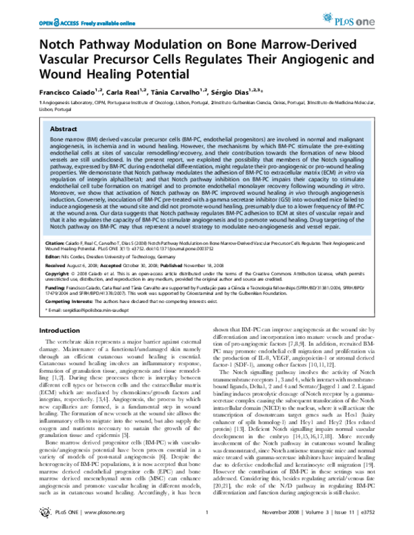 (PDF) Notch Pathway Modulation on Bone Marrow-Derived Vascular ...