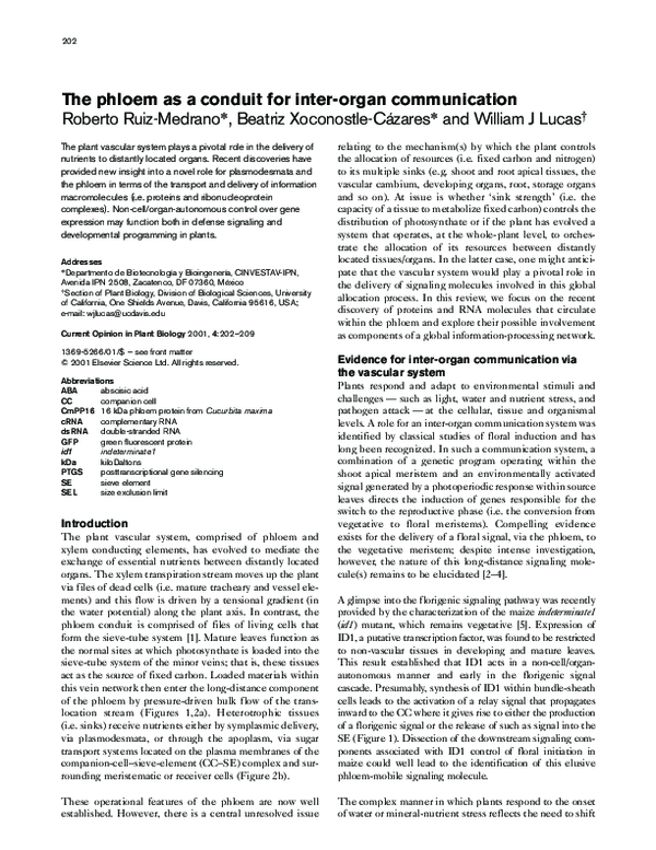 (PDF) The phloem as a conduit for inter-organ communication