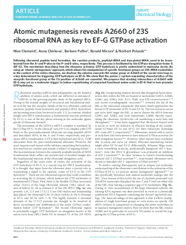(PDF) Atomic mutagenesis reveals A2660 of 23S ribosomal RNA as key to ...