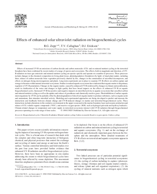 (PDF) Effects of enhanced solar ultraviolet radiation on biogeochemical cycles