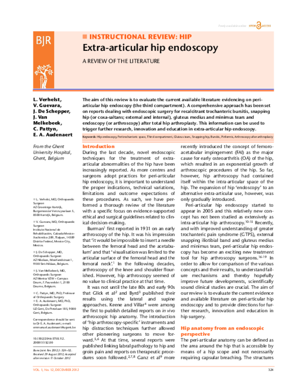 (PDF) Extra-articular hip endoscopy: A review of the literature