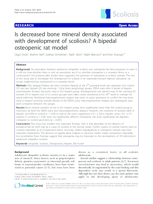 (PDF) Effects of erect bipedal standing on the morphology of rat ...