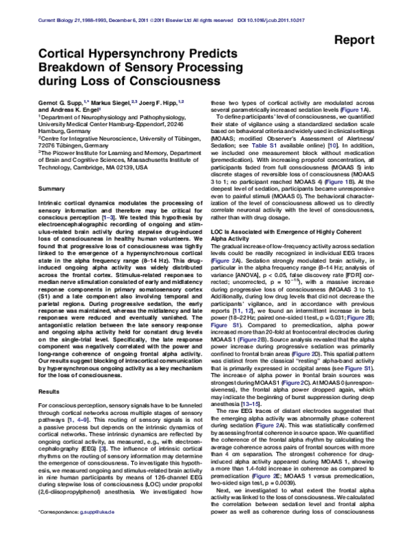 (PDF) Cortical Hypersynchrony Predicts Breakdown of Sensory Processing ...