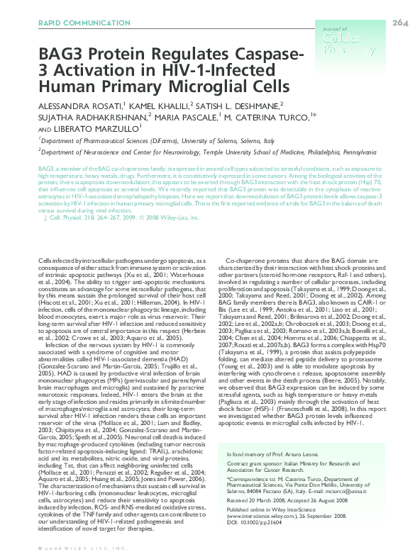 (PDF) BAG3 protein regulates caspase-3 activation in HIV-1-infected ...