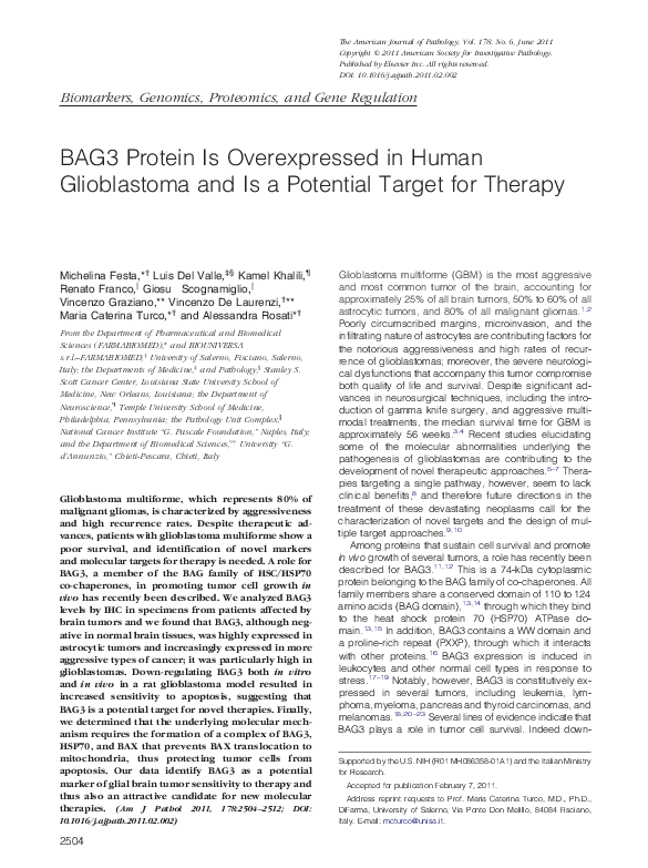 (PDF) BAG3 Protein Is Overexpressed in Human Glioblastoma and Is a ...