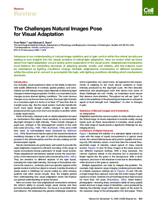 (PDF) Neuron Review The Challenges Natural Images Pose for Visual ...