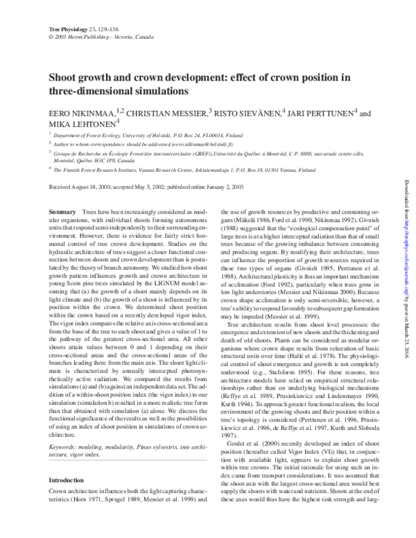 (PDF) Shoot growth and crown development: effect of crown position in ...