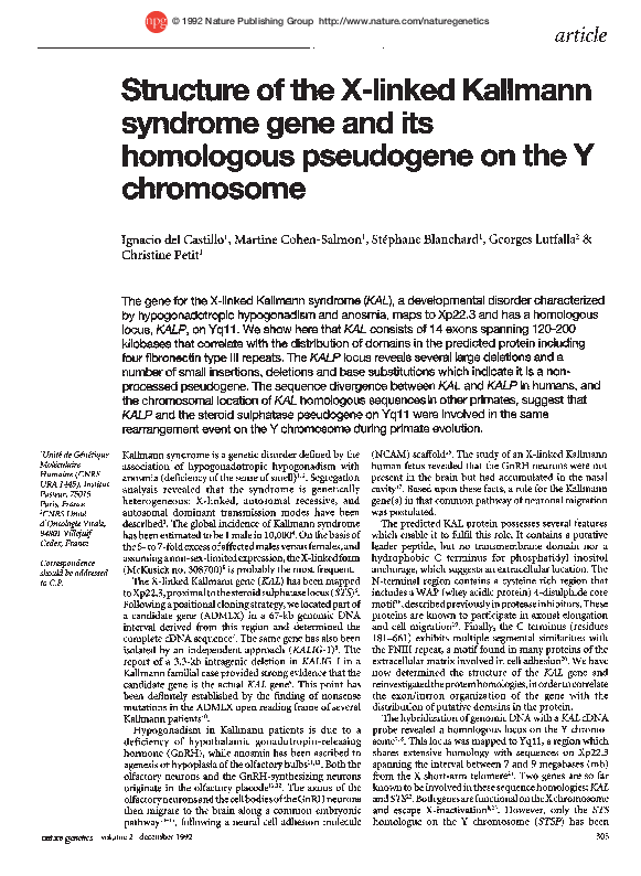(PDF) STRUCTURE OF THE X-LINKED KALLMANN SYNDROME GENE AND ITS ...