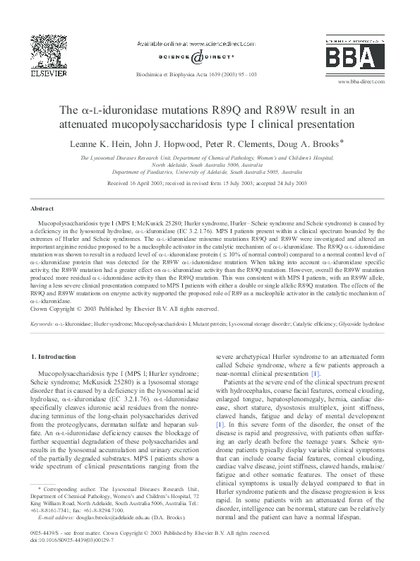 (PDF) The α-l-iduronidase mutations R89Q and R89W result in an ...