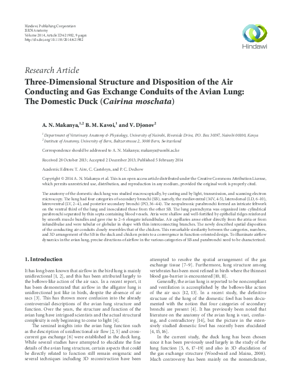 (PDF) Three-Dimensional Structure and Disposition of the Air Conducting ...