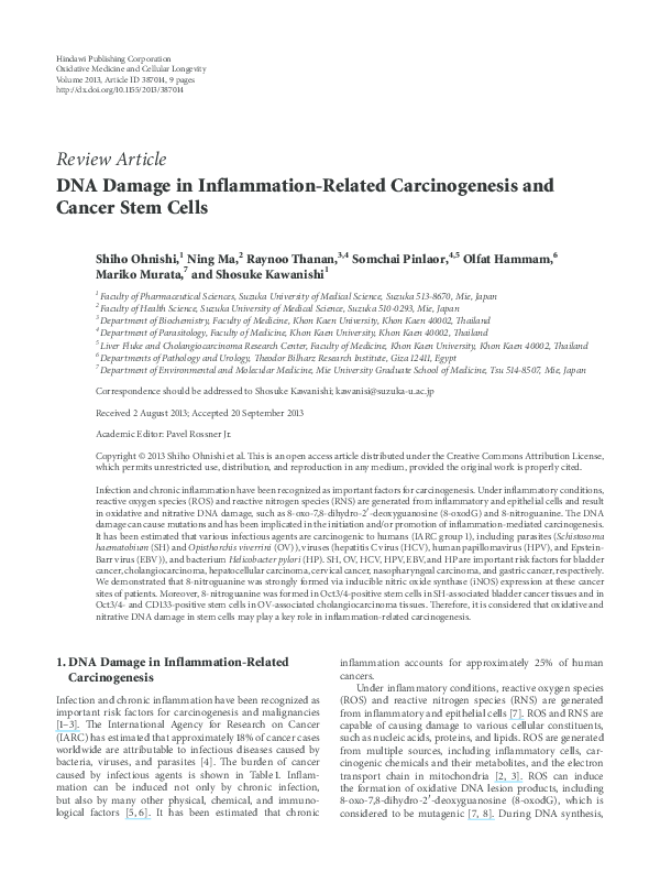 (PDF) DNA Damage in Inflammation-Related Carcinogenesis and Cancer Stem ...