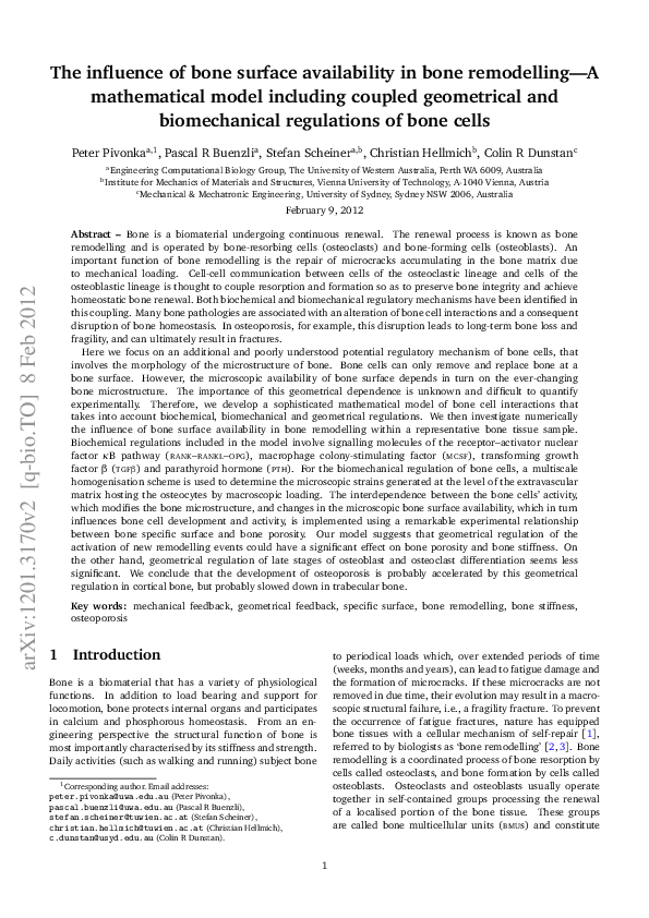 (PDF) Investigation of coupled geometrical and mechanical feedback controls in bone remodelling ...