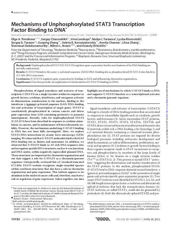 (PDF) Mechanisms of unphosphorylated STAT3 transcription factor binding ...