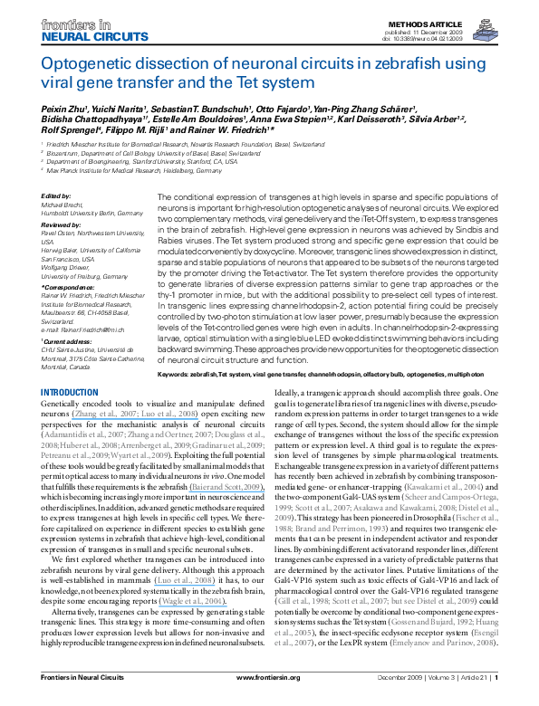 (PDF) Optogenetic dissection of neuronal circuits in zebrafish using ...