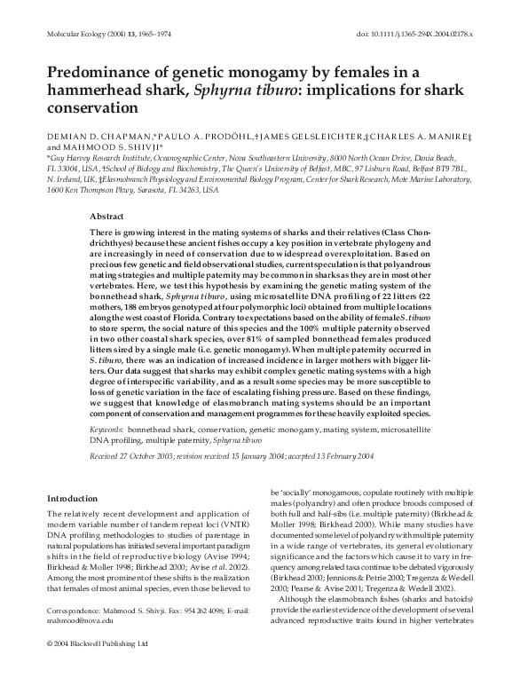 (PDF) Predominance of genetic monogamy by females in a hammerhead shark ...