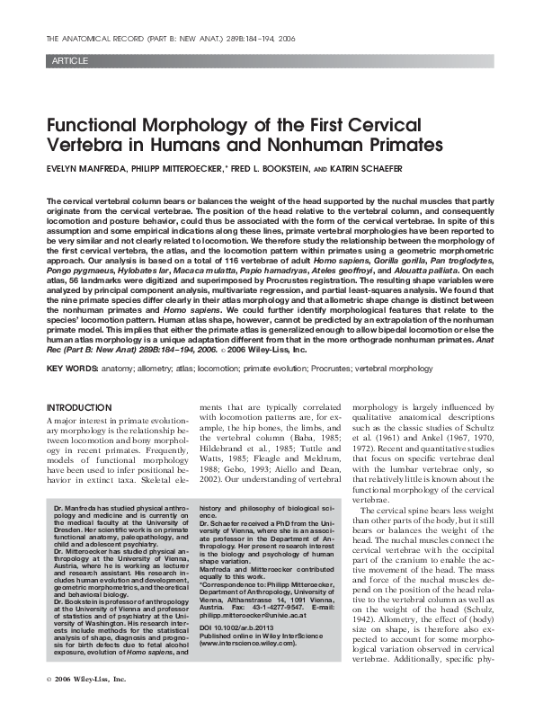 (PDF) Functional Morphology of the First Cervical Vertebra in Humans ...