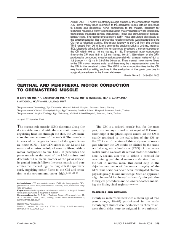 (PDF) Central and peripheral motor conduction to cremasteric muscle
