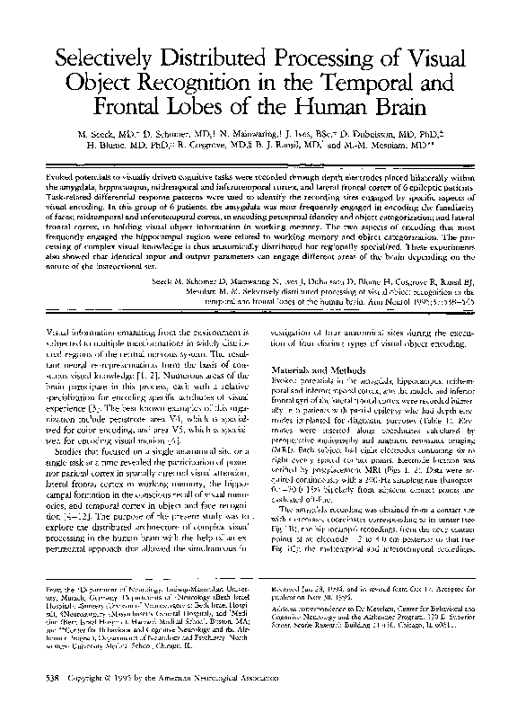 (PDF) Selectively distributed processing of visual object recognition in the temporal and ...