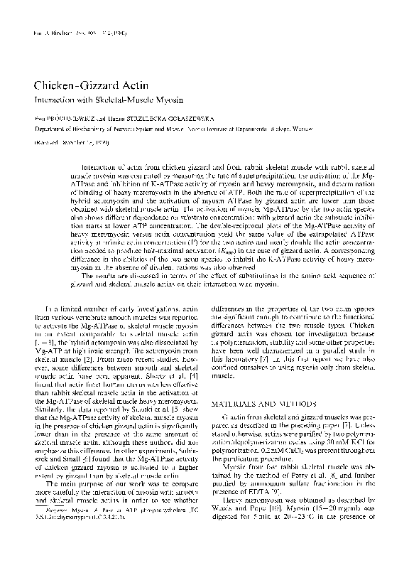 (PDF) Chicken-Gizzard Actin