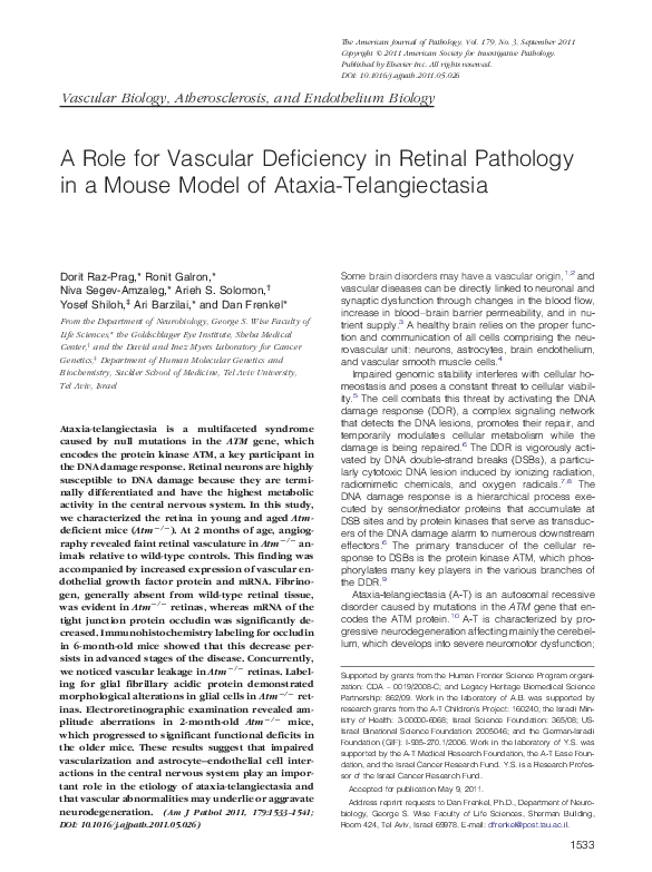 (PDF) A Role for Vascular Deficiency in Retinal Pathology in a Mouse Model of Ataxia-Telangiectasia