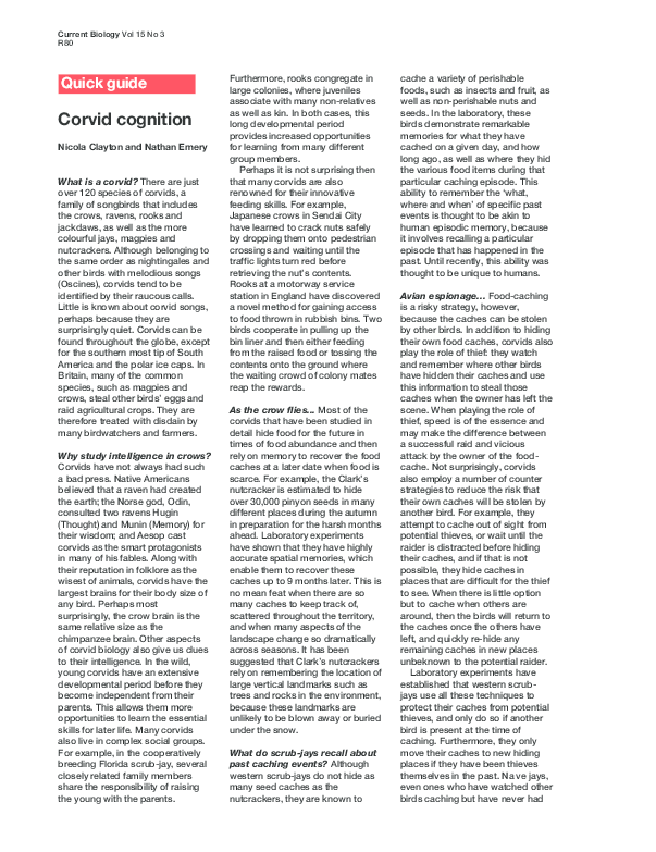 (PDF) Corvid cognition