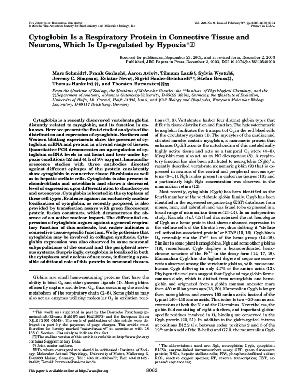 (PDF) Cytoglobin Is a Respiratory Protein in Connective Tissue and ...