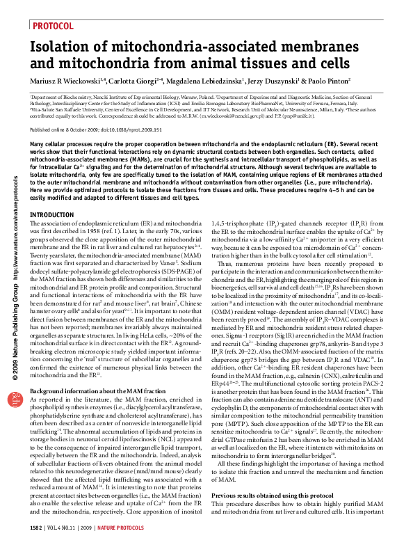 (PDF) Isolation of mitochondria-associated membranes and mitochondria ...