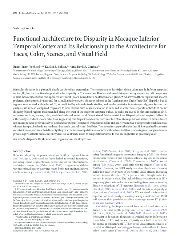Pdf Functional Architecture For Disparity In Macaque Inferior Temporal Cortex And Its