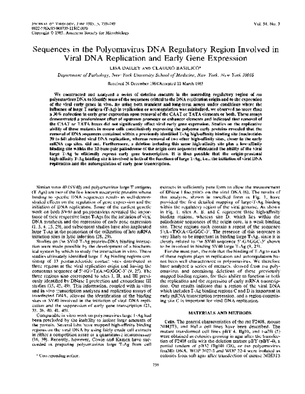 (PDF) Sequences in the polyomavirus DNA regulatory region involved in ...