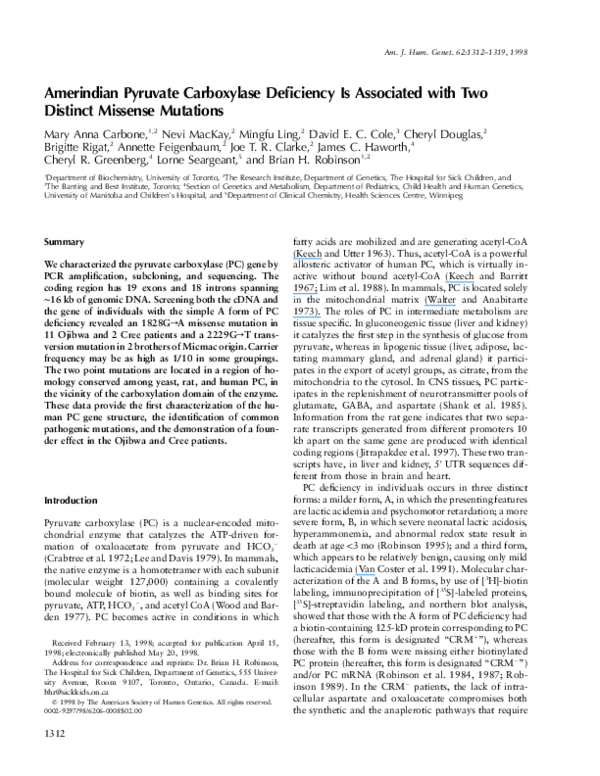(PDF) Amerindian Pyruvate Carboxylase Deficiency Is Associated with Two ...