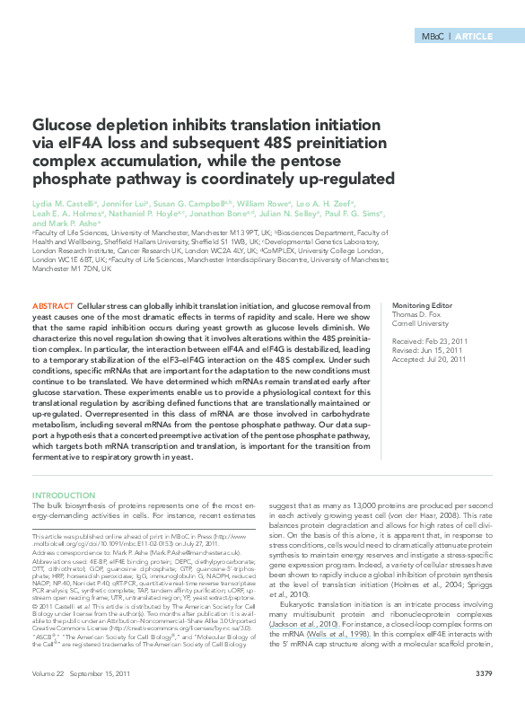 (PDF) Glucose depletion inhibits translation initiation via eIF4A loss ...