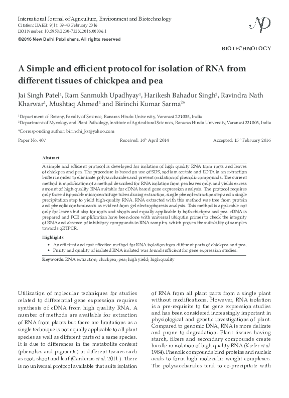 (PDF) A Simple and eﬃcient protocol for isolation of RNA from diﬀerent ...