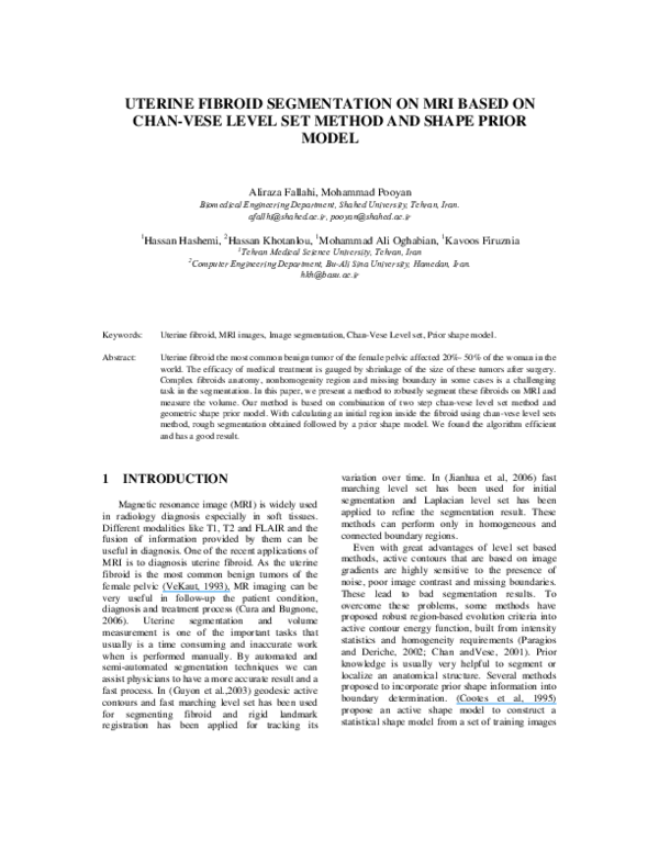(PDF) SEGMENTATION OF UTERINE FIBROID ON MR IMAGES BASED ON CHAN–VESE LEVEL SET METHOD AND SHAPE ...