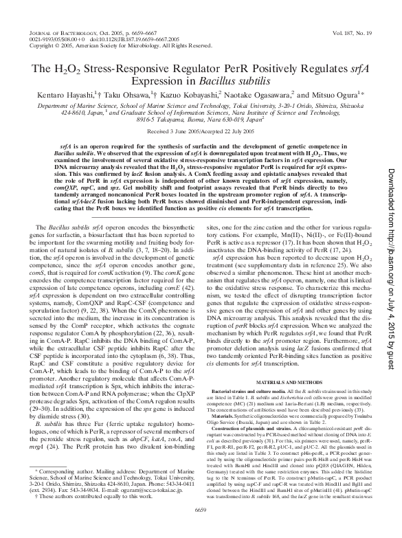(PDF) The H2O2 stress-responsive regulator PerR positively regulates ...
