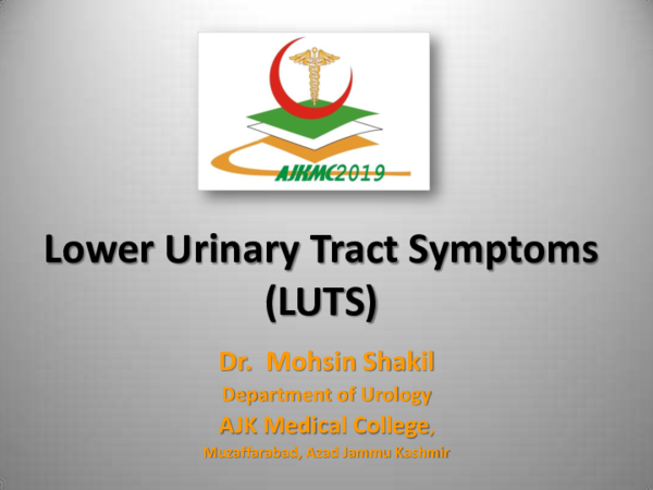 (PDF) Lower Urinary Tract Symptoms (LUTS)