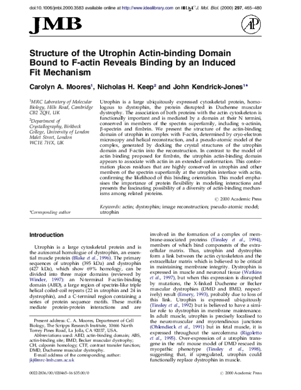 Pdf Structure Of The Utrophin Actin Binding Domain Bound To F Actin