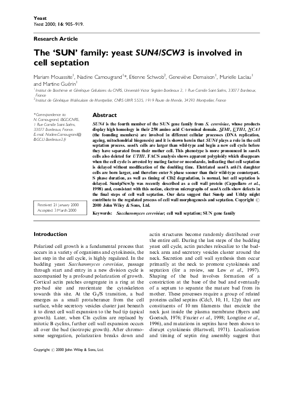 (PDF) The ?SUN? family: yeastSUN4/SCW3 is involved in cell septation