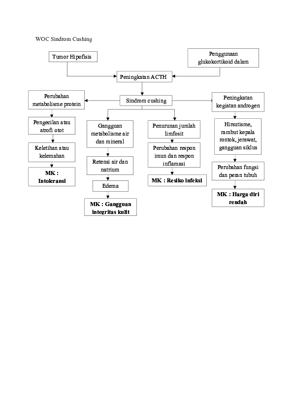 (DOC) WOC Sindrom Cushing Edema Gangguan metabolisme air dan mineral