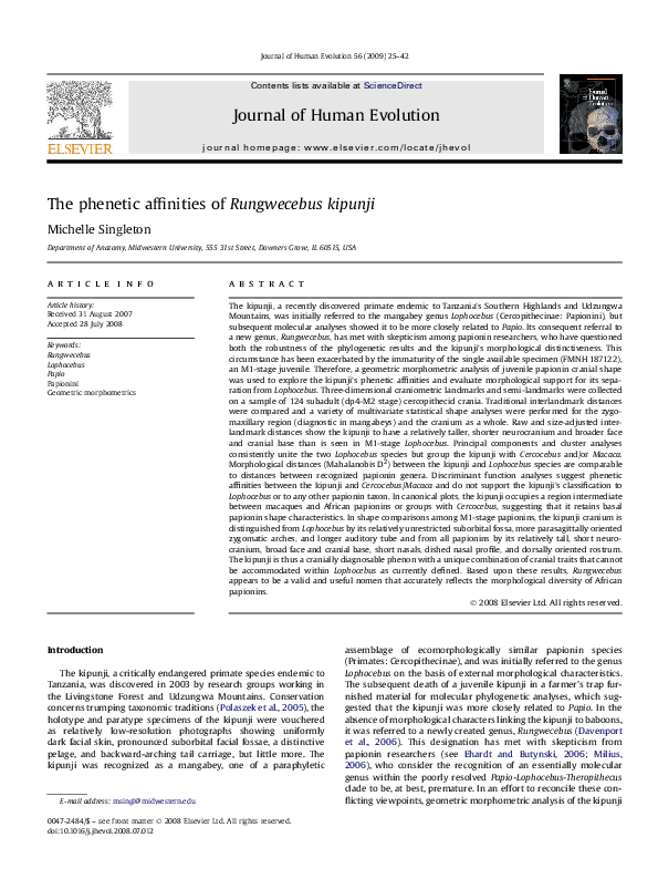 (PDF) Nasal architecture of Paradolichopithecus arvernensis (late ...
